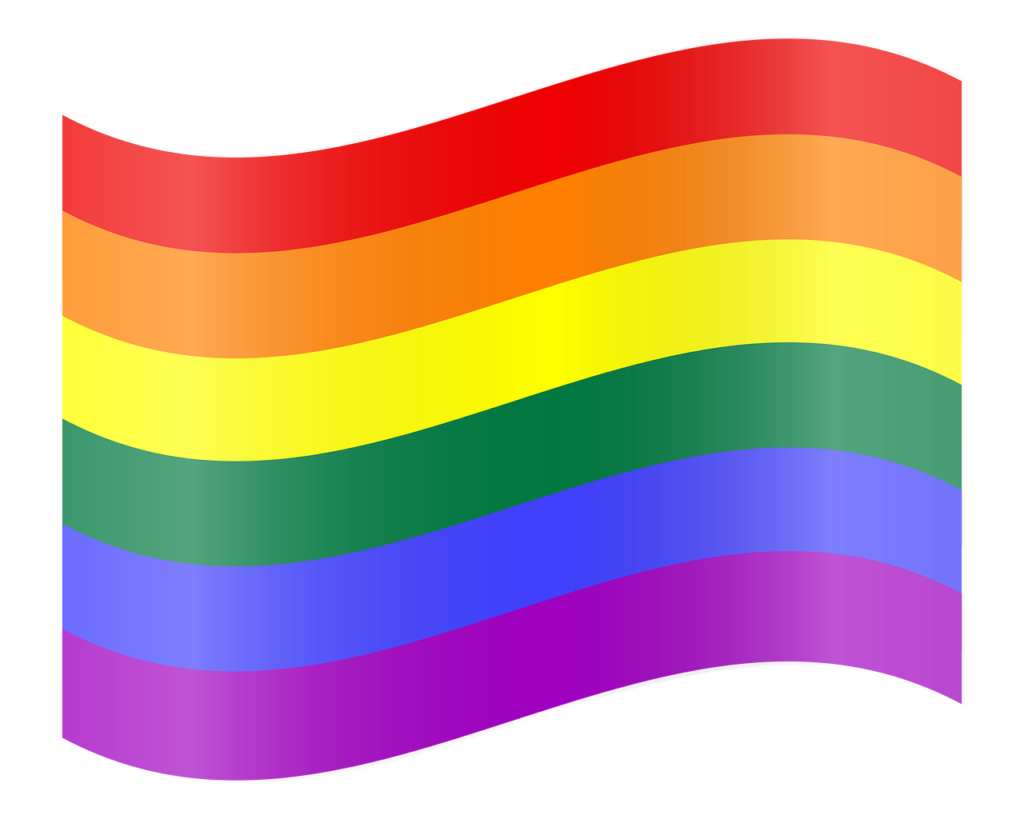 THE PRIDE WOKE FLAG – prairie republic